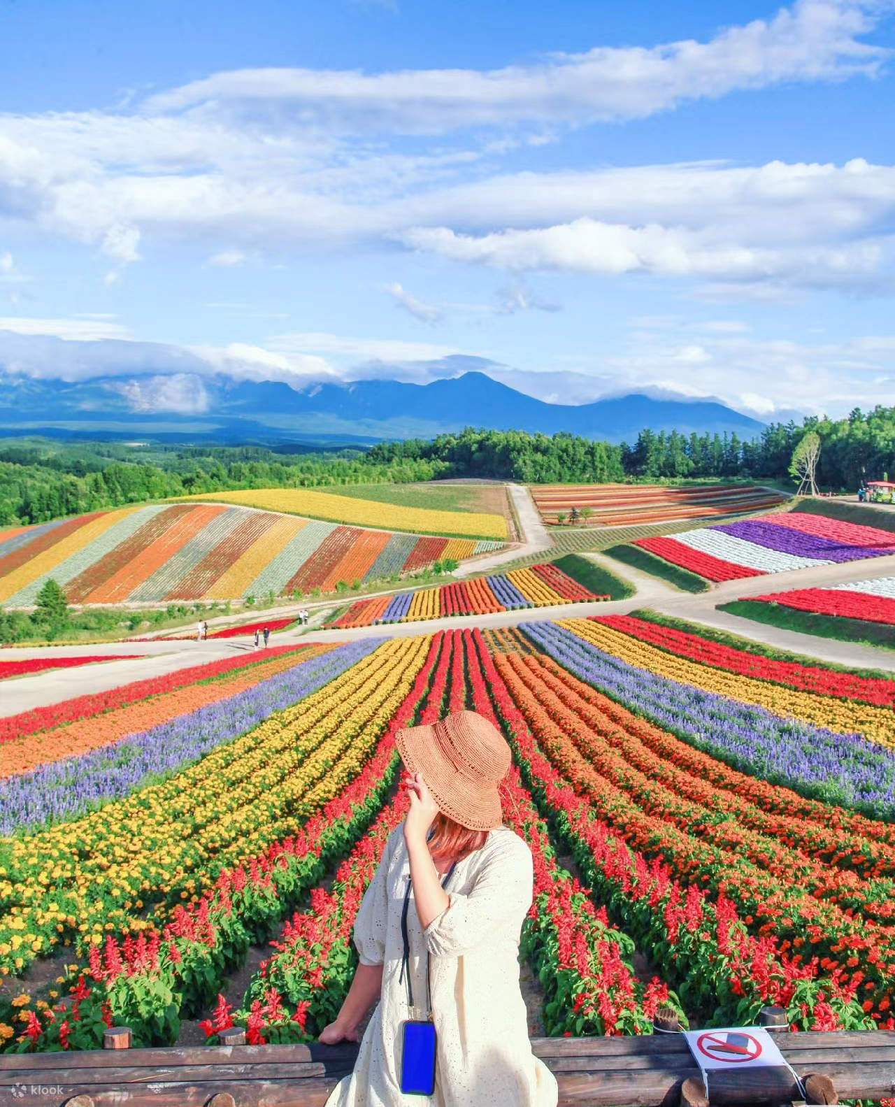 Hokkaido Shikisai-no-Oka, Blue Pond & Farm Tomita Day Tour - Klook ...
